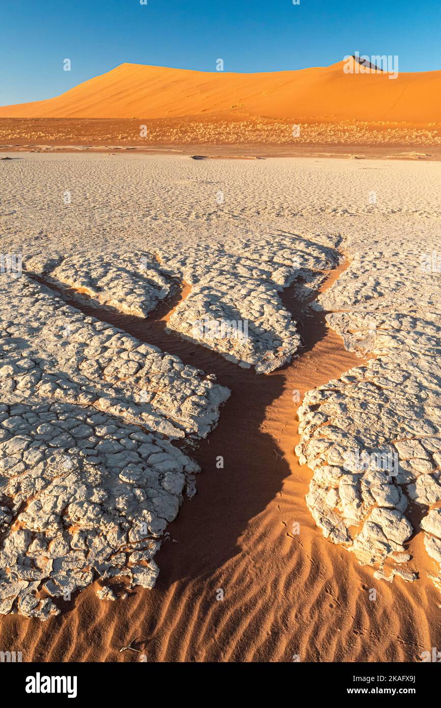 Dry mud on the sand dunes, Namib desert, Namibia Stock Photo - Alamy