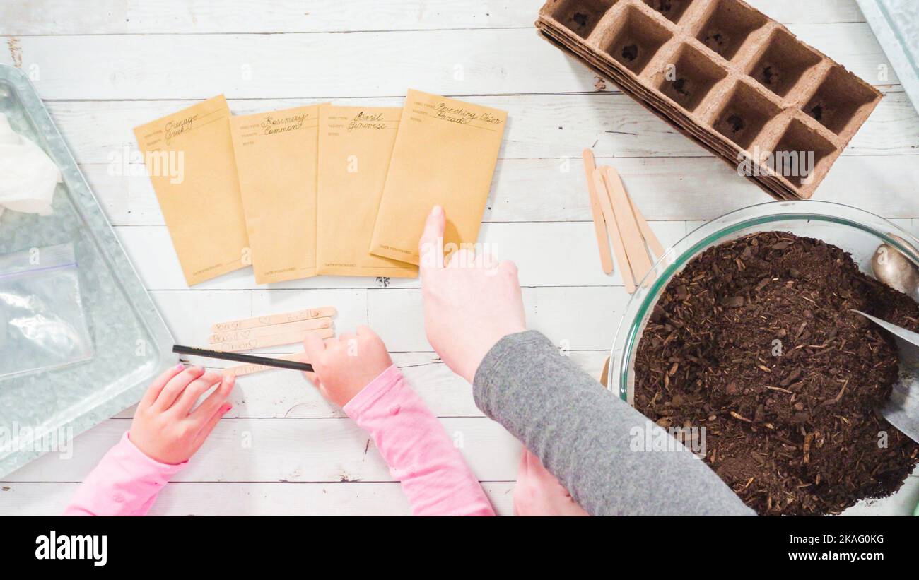 Planting pots step by step hi-res stock photography and images - Alamy
