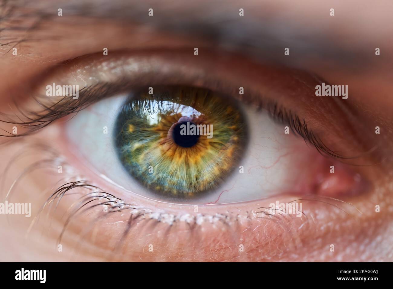Detailed macro of right eye of a young man Stock Photo - Alamy