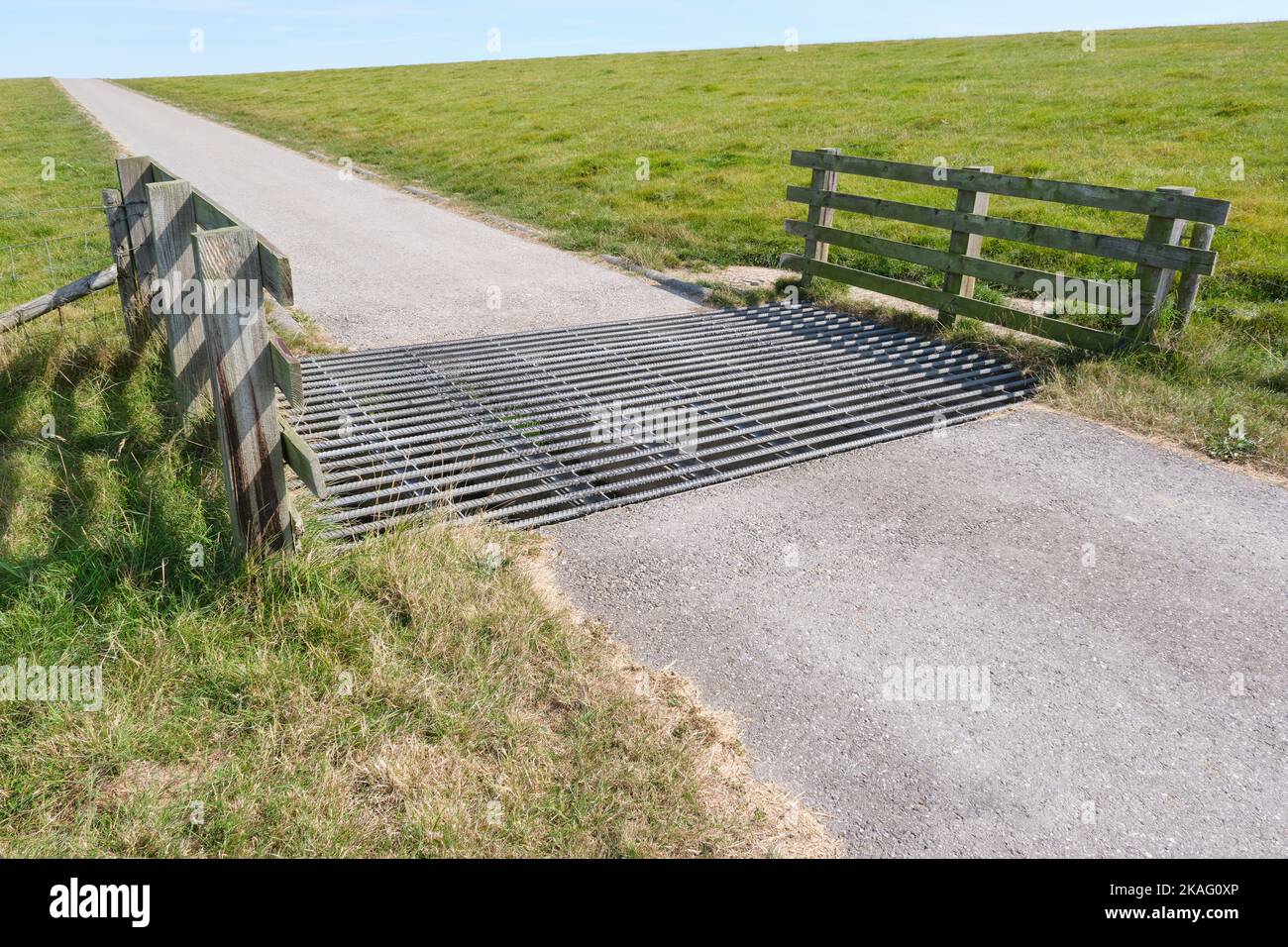 Cattle grid or cattle guard on a seawall to prevent livestock from ...