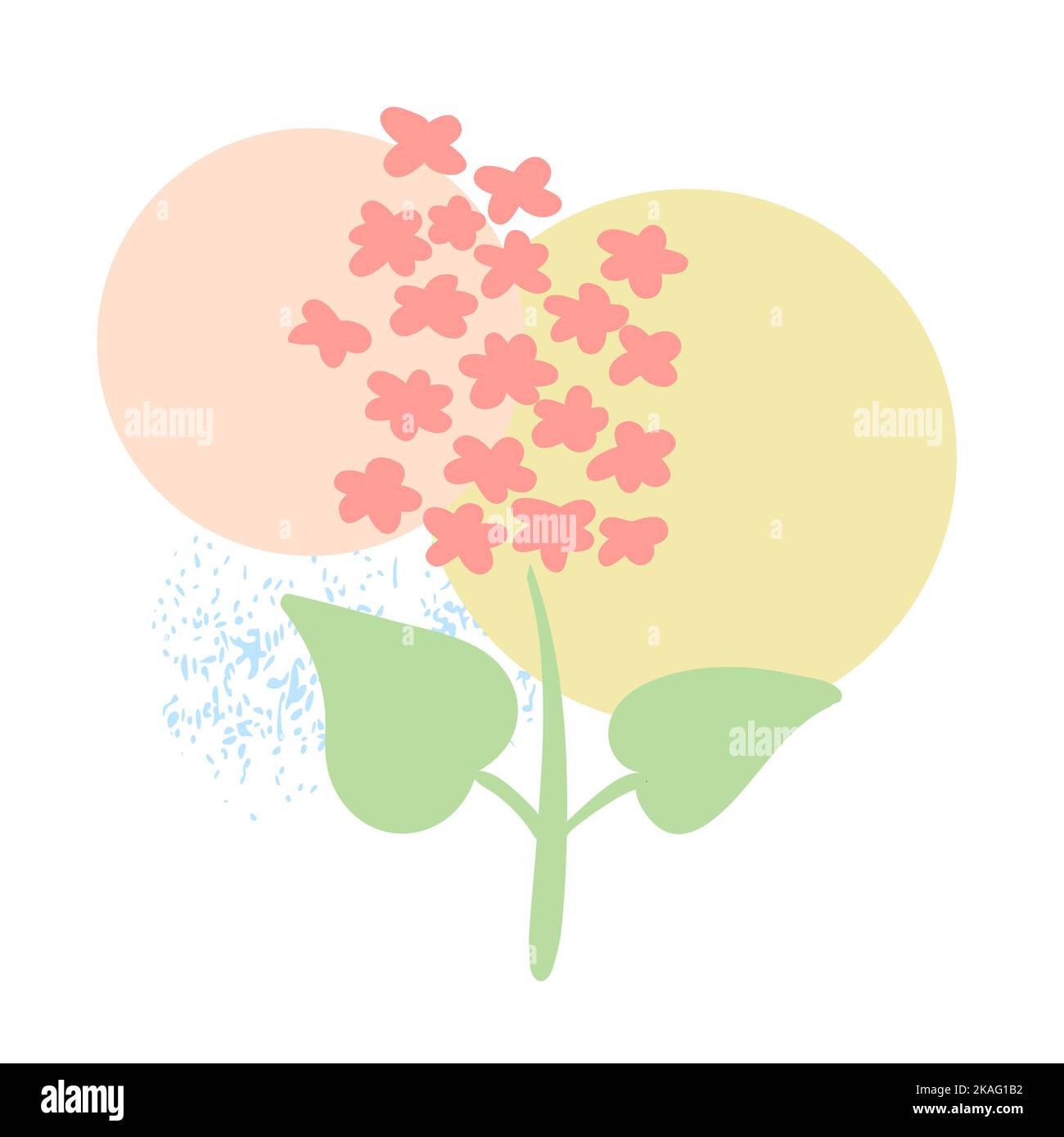 Floral element. Vector illustration. Botanical design Stock Vector ...