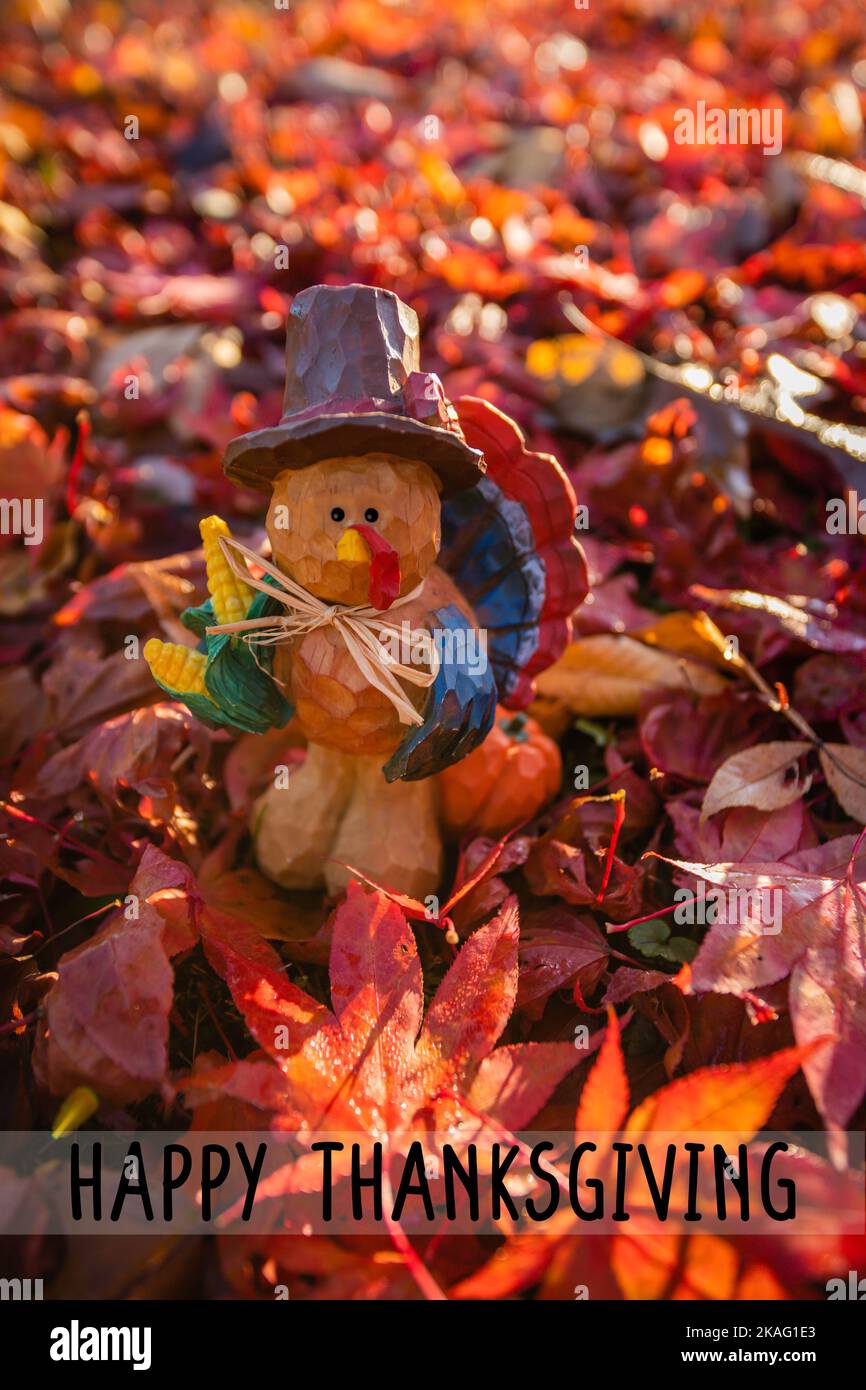 Happy Thanksgiving text vivid red autumn leaves background in morning ...