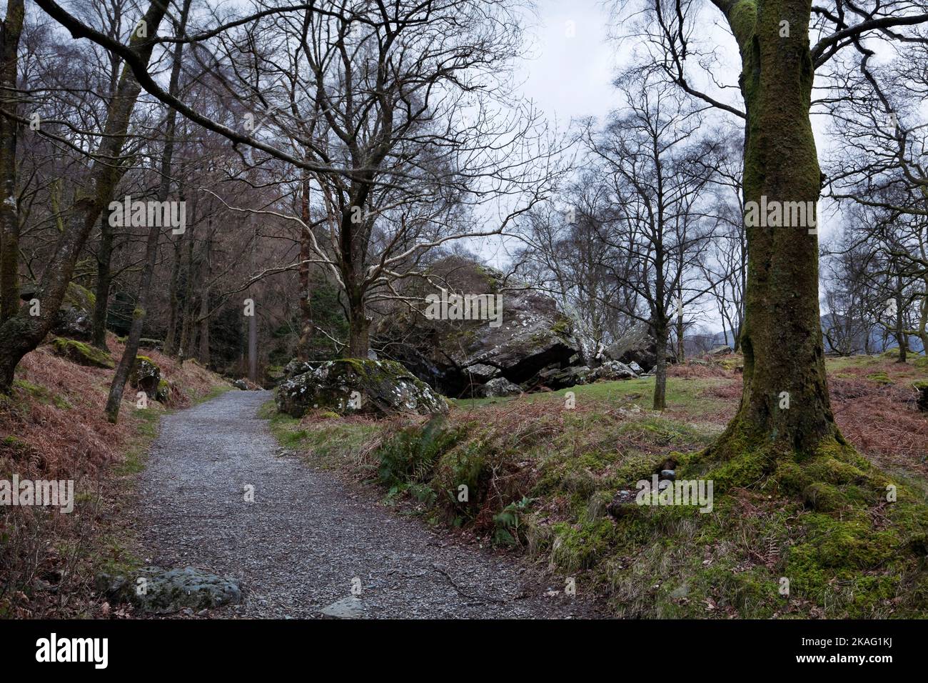 Thr path to the Bowder Stone, Borrowdale, Lake District, UK Stock Photo ...