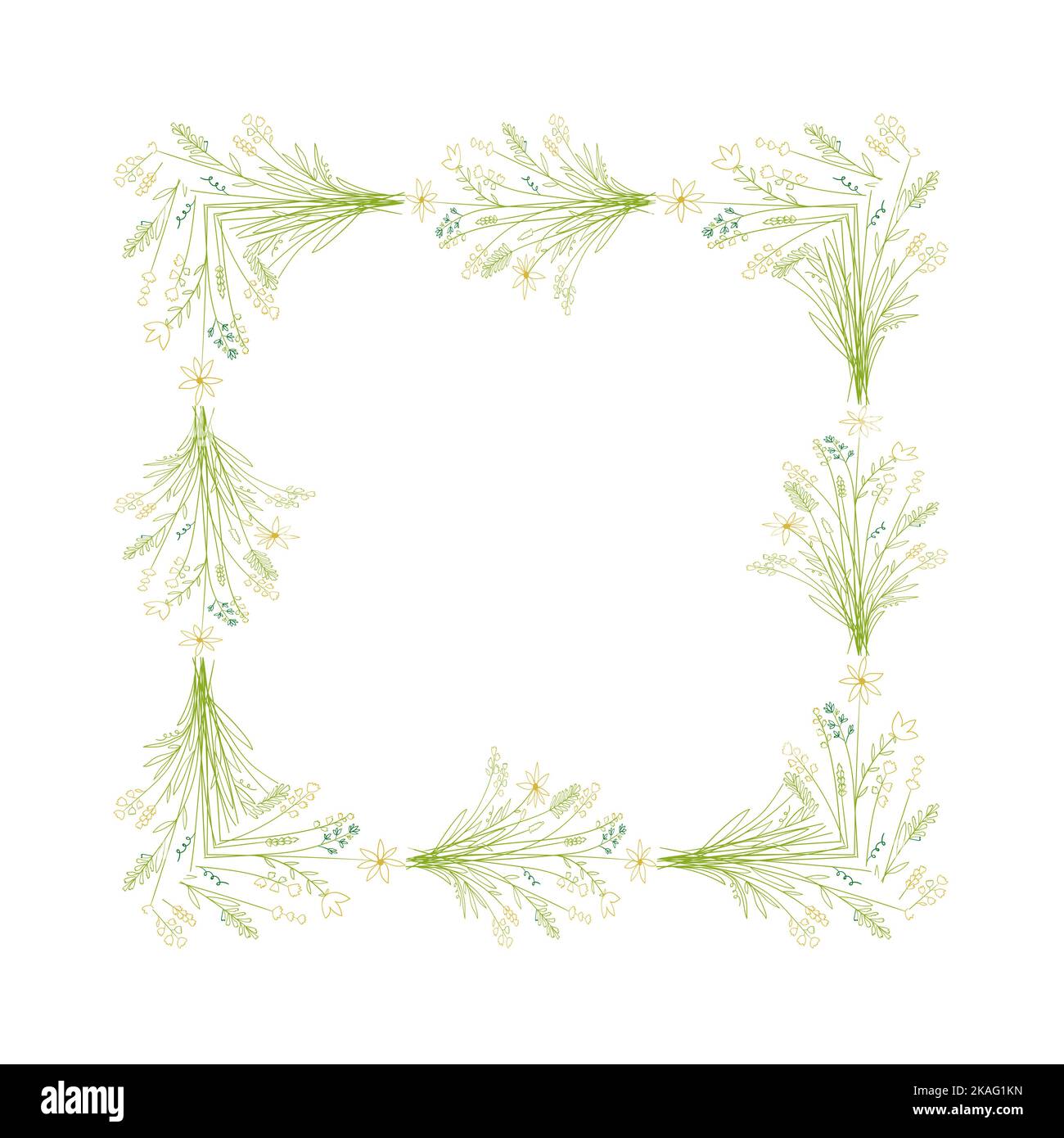 Floral frame element. Vector illustration Stock Vector Image & Art - Alamy