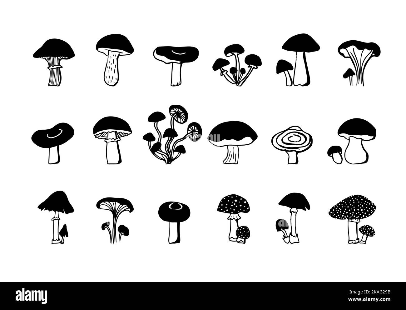 Set of different mushrooms . Vector illustration Stock Vector Image ... Set of different mushrooms . Vector illustration Stock Vector Image ...