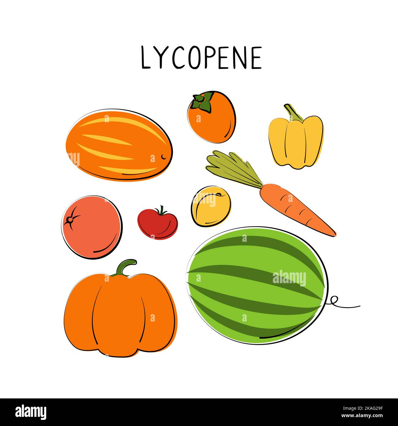 Lycopene-containing food. Groups of healthy products containing ...
