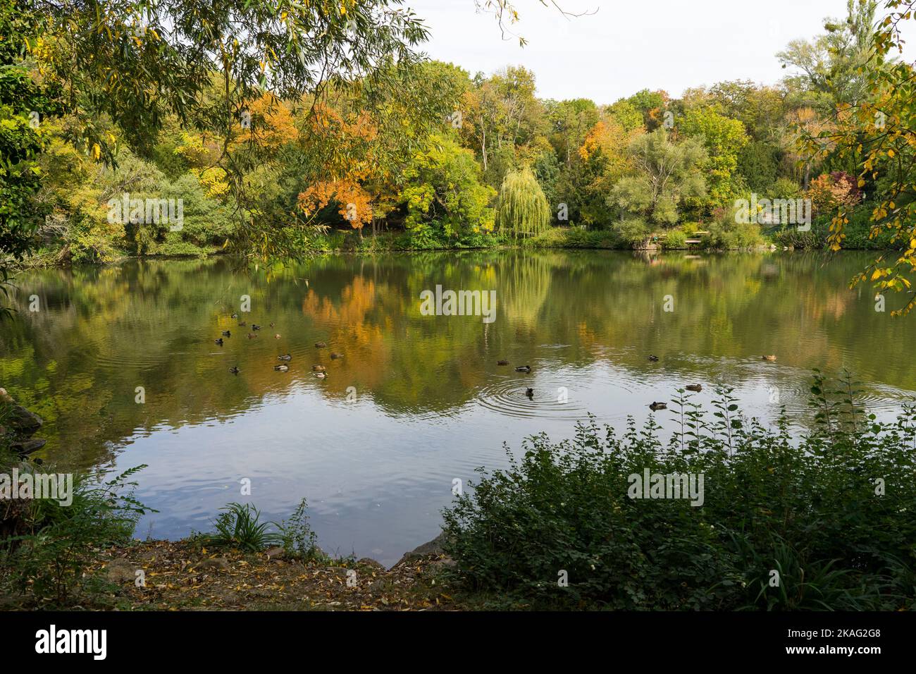 Autumn in Kurpark Oberlaa, Vienna, Austria. Colorful trees and leafs. Beautiful park with forest ...