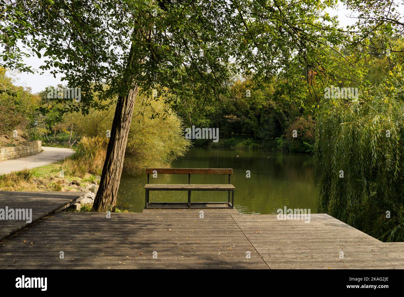 Autumn in Kurpark Oberlaa, Vienna, Austria. Colorful trees and leafs. Beautiful park with forest ...