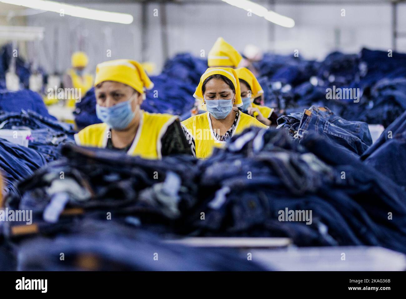 Samarkand, Usbekistan. 02nd Nov, 2022. Workers produce jeans at the ...