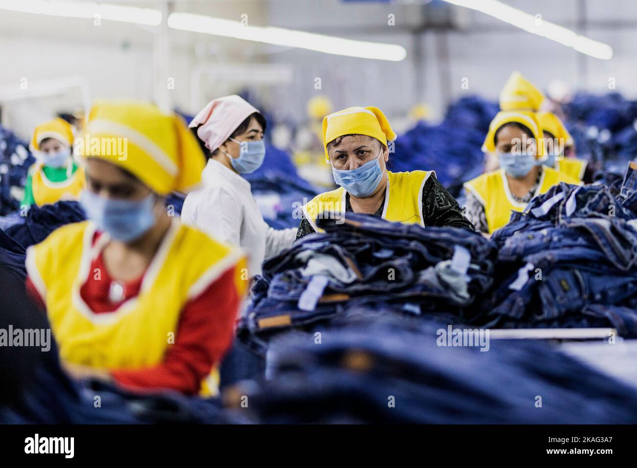 Samarkand, Usbekistan. 02nd Nov, 2022. Workers produce jeans at the ...
