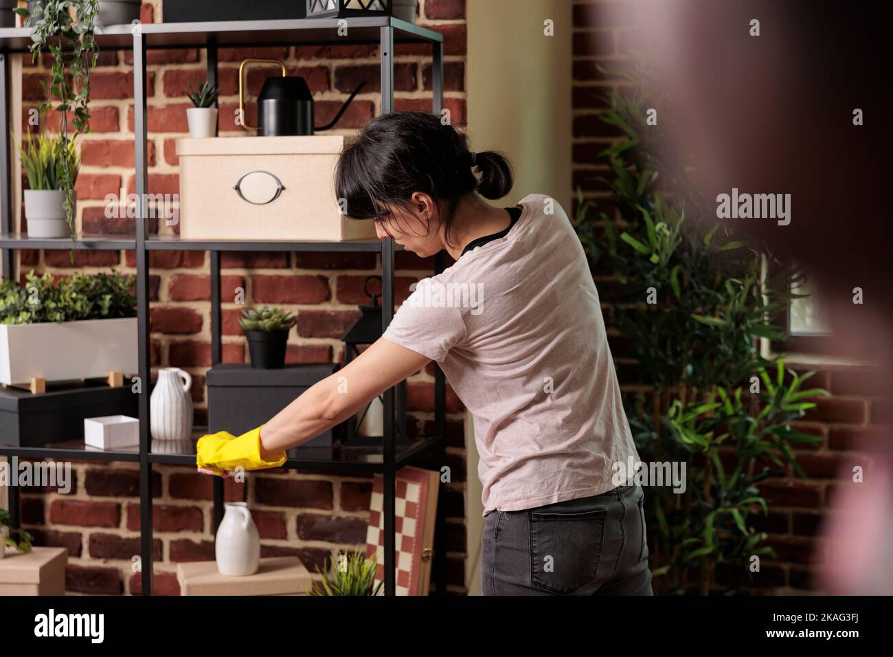 Domestic employee dusting shelves in urban apartment, doing weekly ...