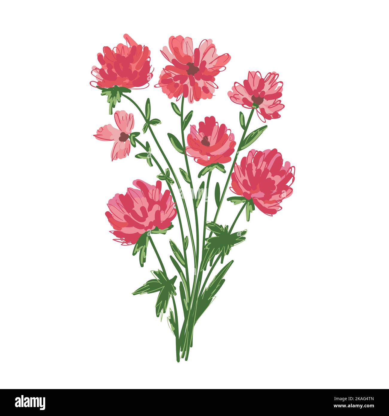 Floral elements on white background. Vector illustration Stock Vector ...