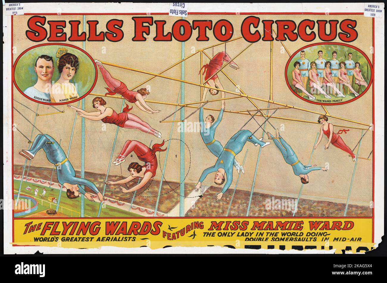 Sells Floto circus The Flying Wards featuring Miss Mamie Ward - Circus ...
