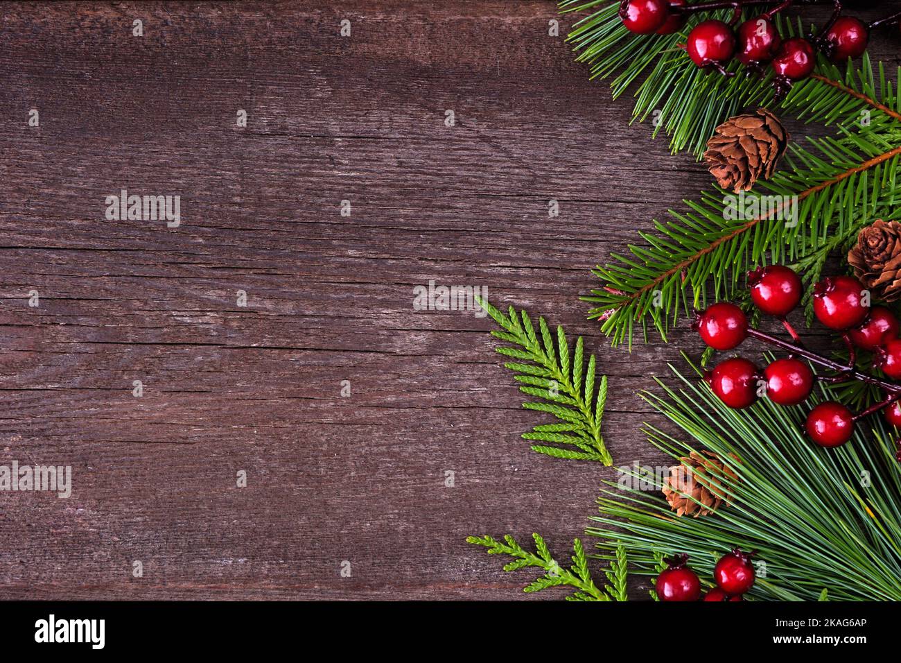 Christmas side border with evergreen branches, red berries and pine ...