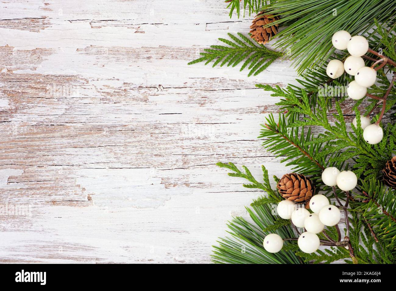 Winter side border with evergreen branches, white berries and pine ...