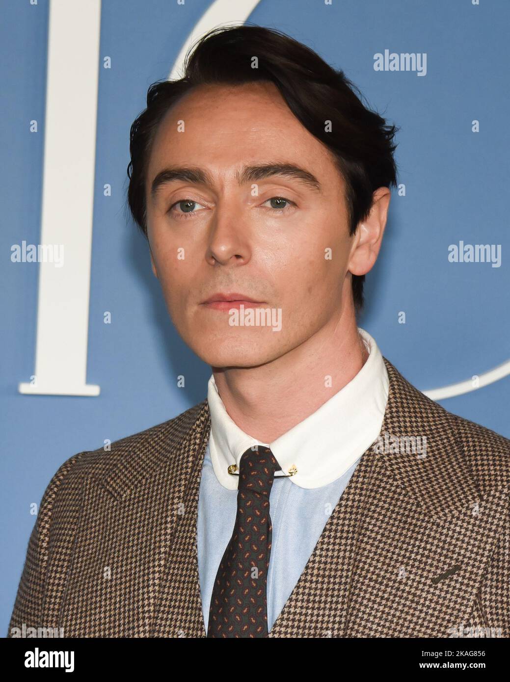 November 1, 2022, Westwood, California, USA: David Dawson attends the ...
