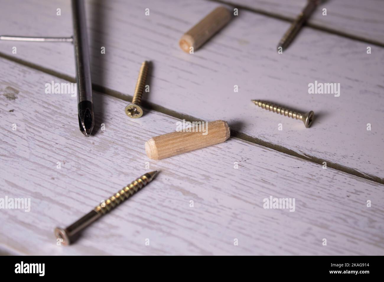 Fasteners - self-tapping screws, screws of different sizes on grey ...
