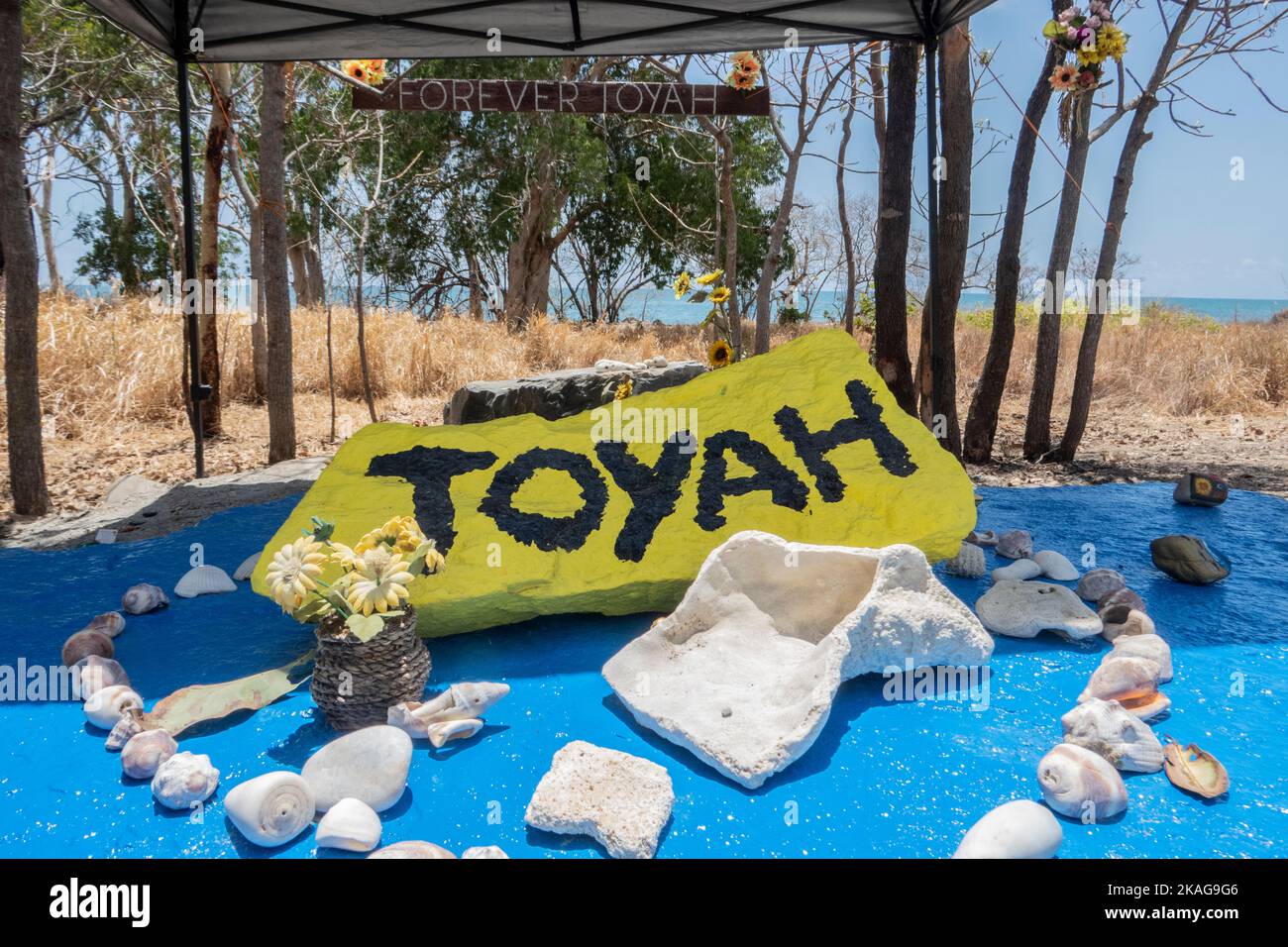 The scene at Wangetti Beach near Cairns in North Queensland where Toyah ...