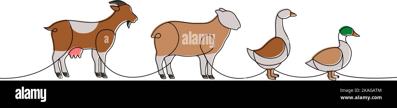 All Farm Animals In One Picture