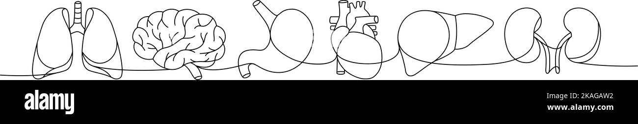 Set of human organ one line continuous drawing. Lungs, brain, stomach ...