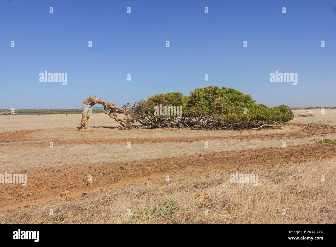 Greenough western australia hi-res stock photography and images - Alamy