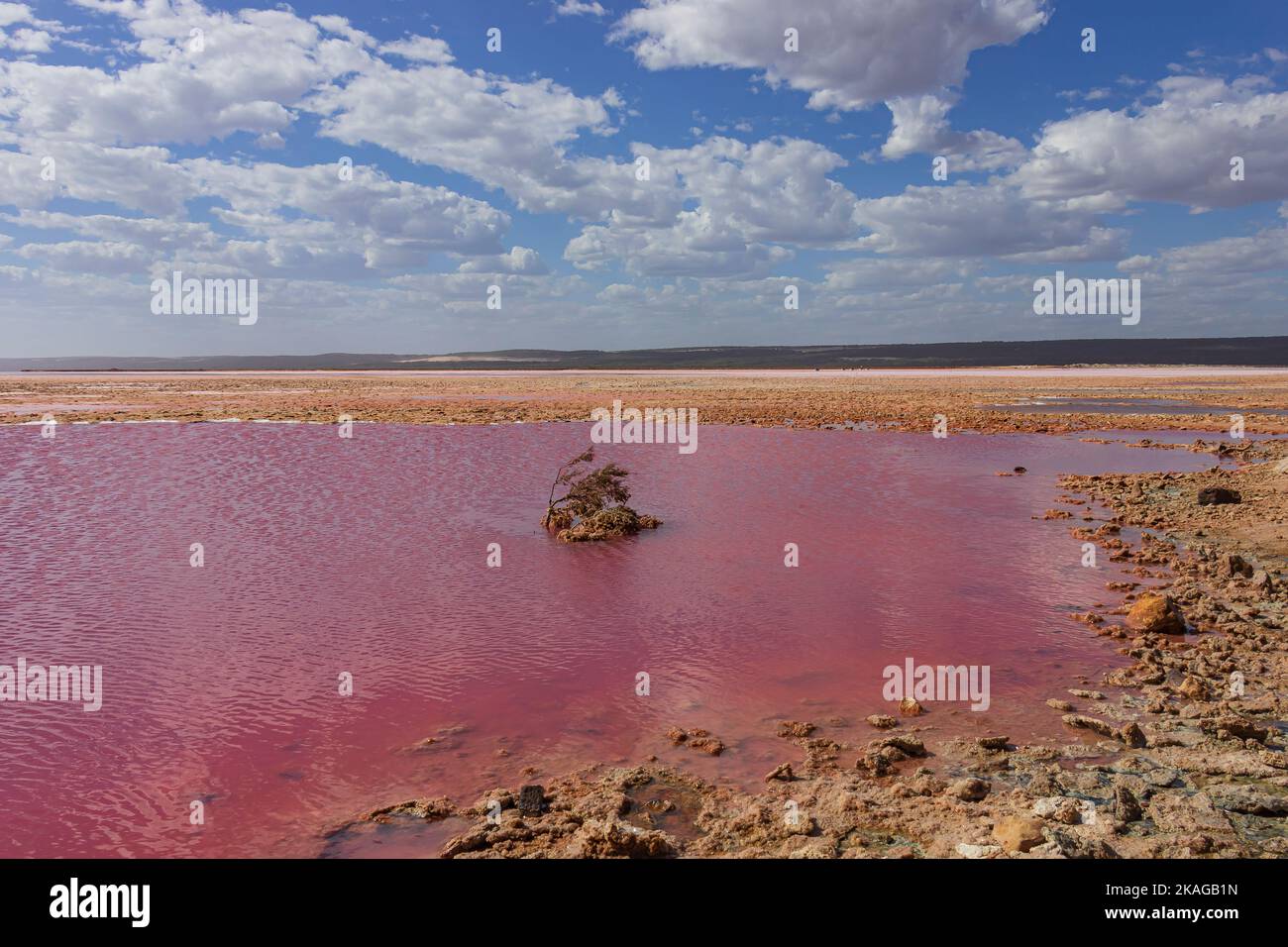 Different shades of pink colour on saline water in Hutt Lagoon Pink ...