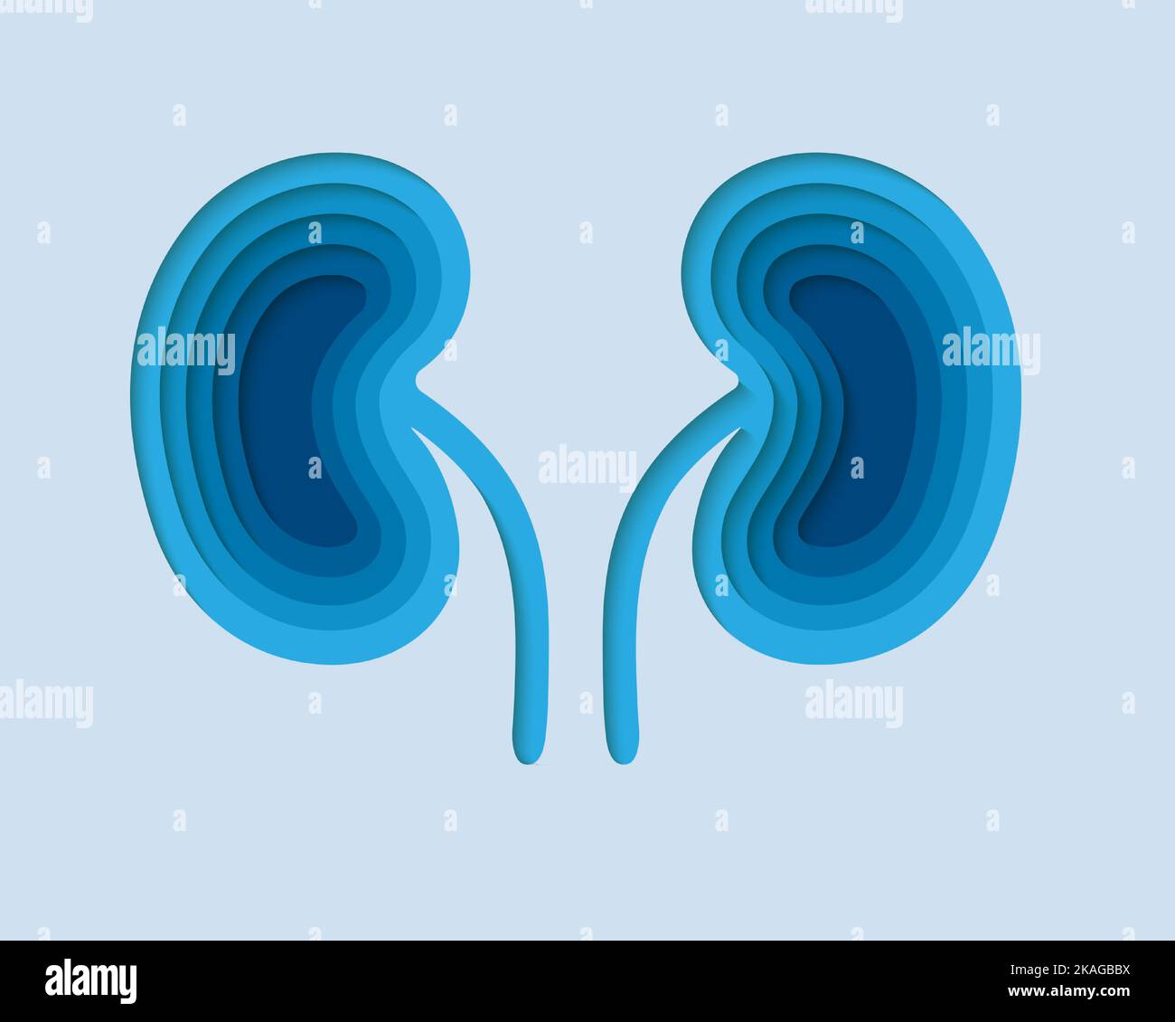 Kidneys 3d symbol in paper cut style. Urinary, human transplantation ...