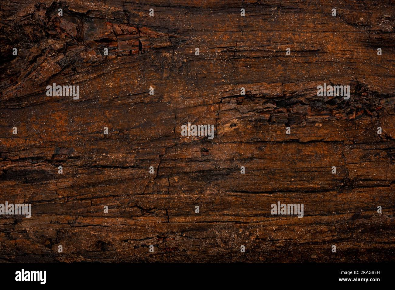 Bark Texture of Brown Petrified Wood Background Image Stock Photo - Alamy