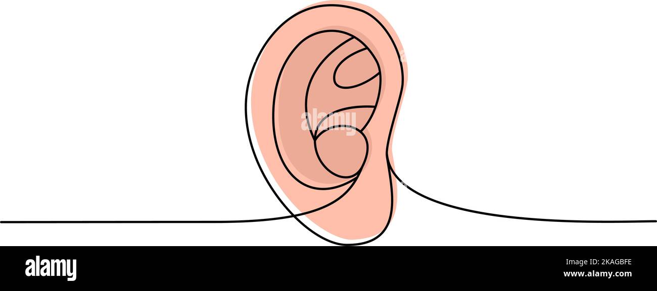 Human ear one line colored continuous drawing. Human organ continuous ...
