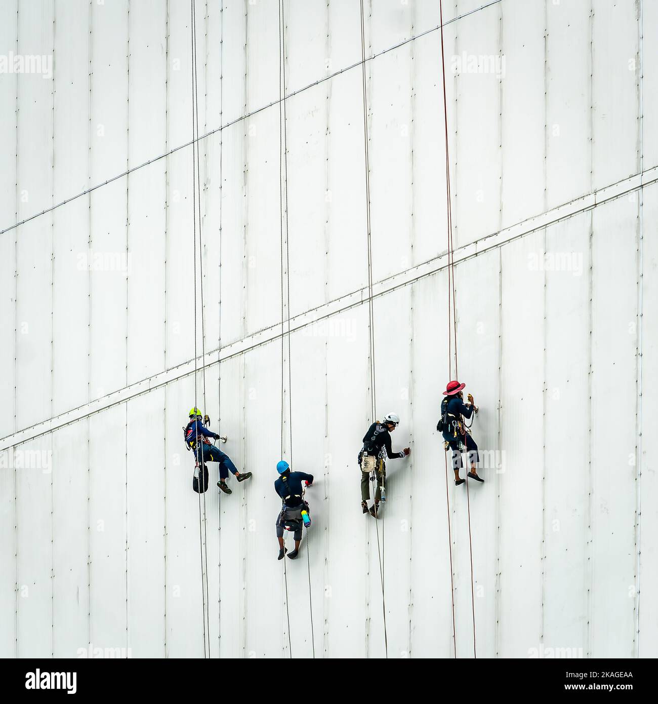 A team of abseiling workers in blue suits hanging on ropes by the wall ...