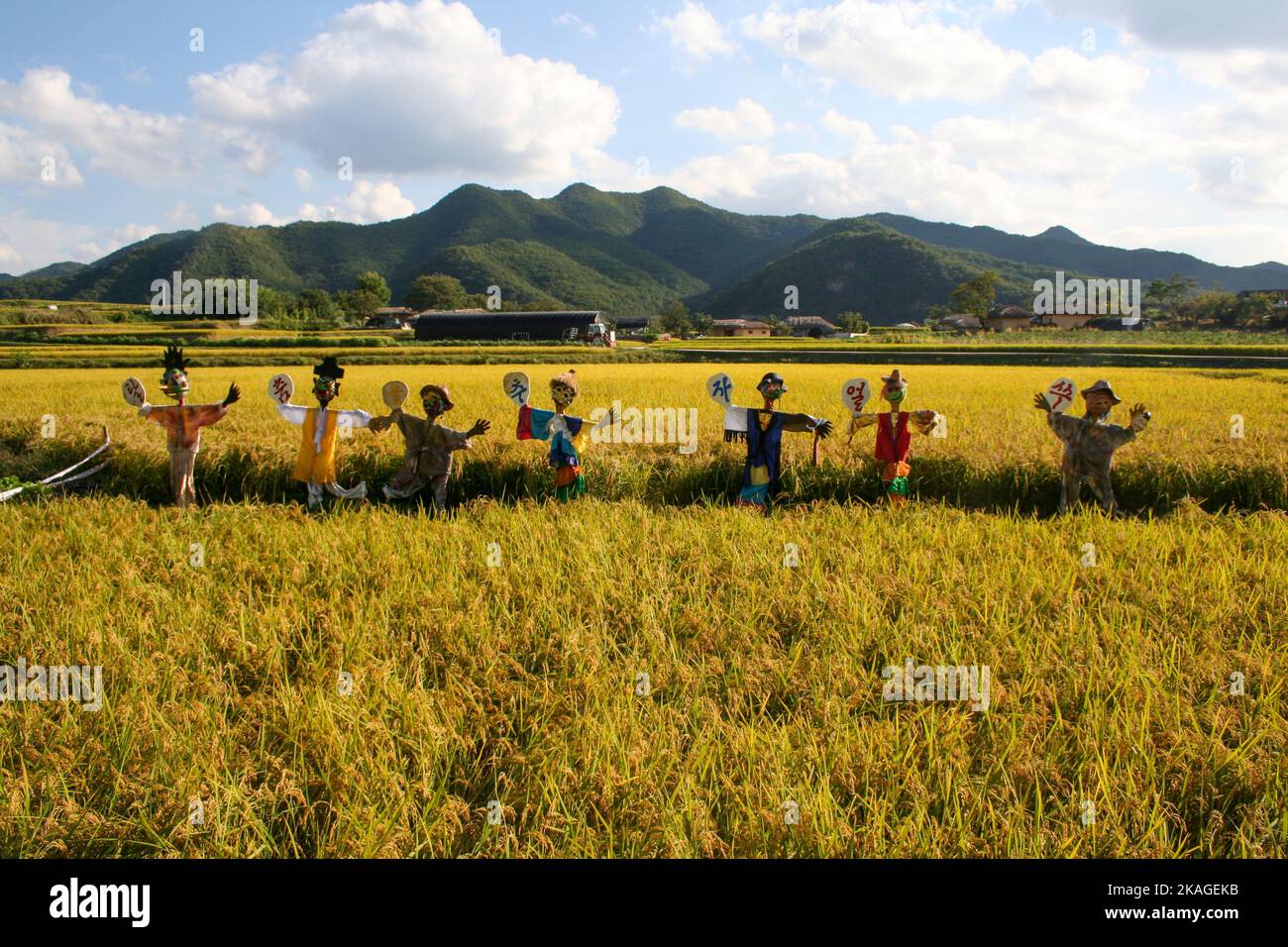 Traditional South Korean Scarecrows Stock Photo - Alamy