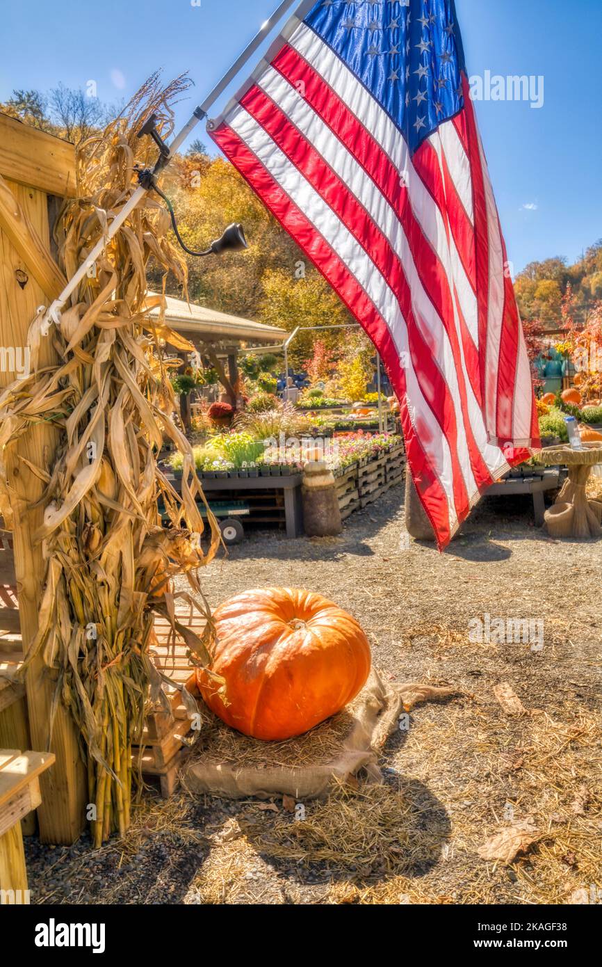 American flag pumpkin hi-res stock photography and images - Alamy