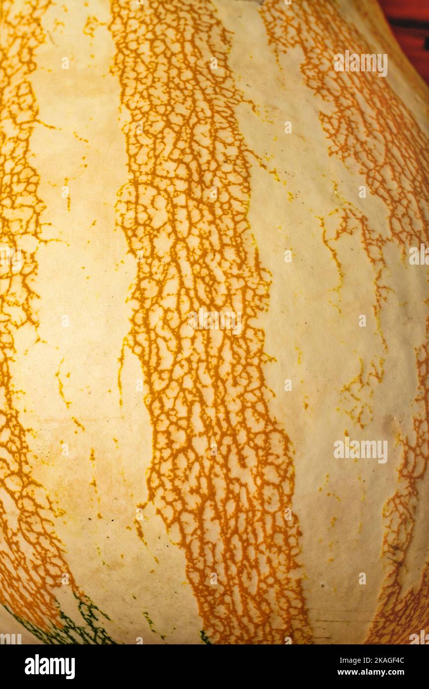 Detail of the pattern on an Autumn gourd displayed in a roadside market ...