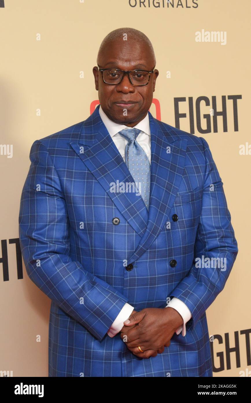 Andre Braugher attends The Good Fight series finale event at the Museum ...