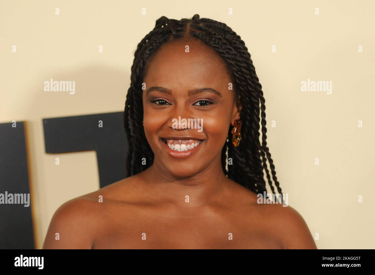 Jordan Boatman attends The Good Fight series finale event at the Museum ...