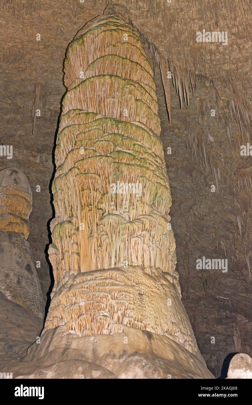 Massive Column in a Cavern in Carlsbad Cavern in New Mexico Stock Photo ...