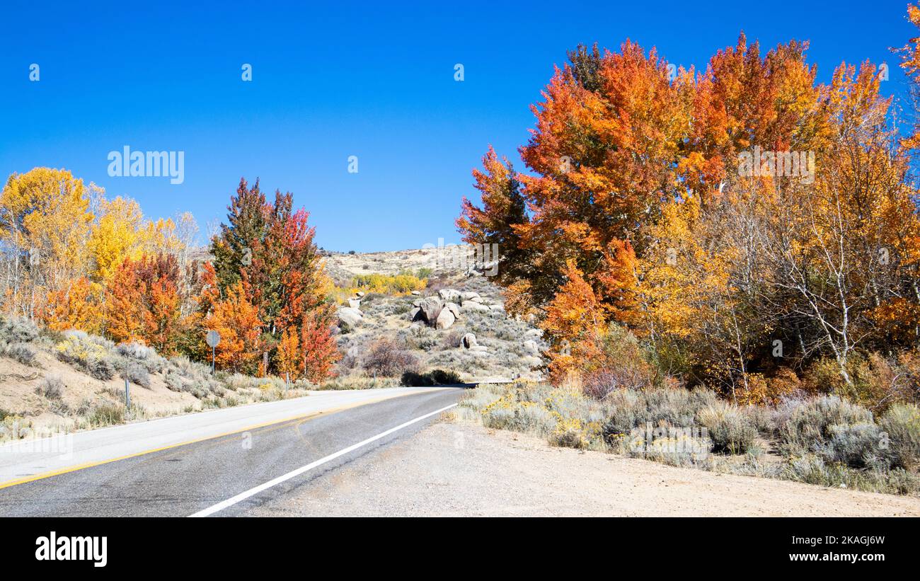 Ely Nevada Success Loop Trail Fall Colors Stock Photo - Alamy