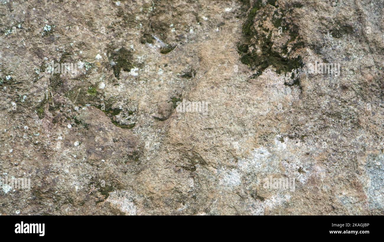 amazing stone texture as background Stock Photo - Alamy