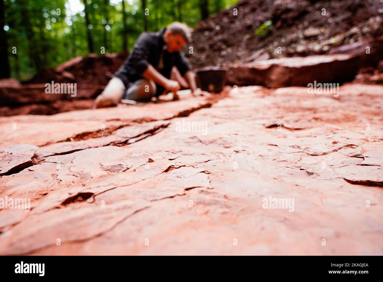 Eschbach, Germany. 20th Sep, 2022. Sebastian Voigt, museum director at ...