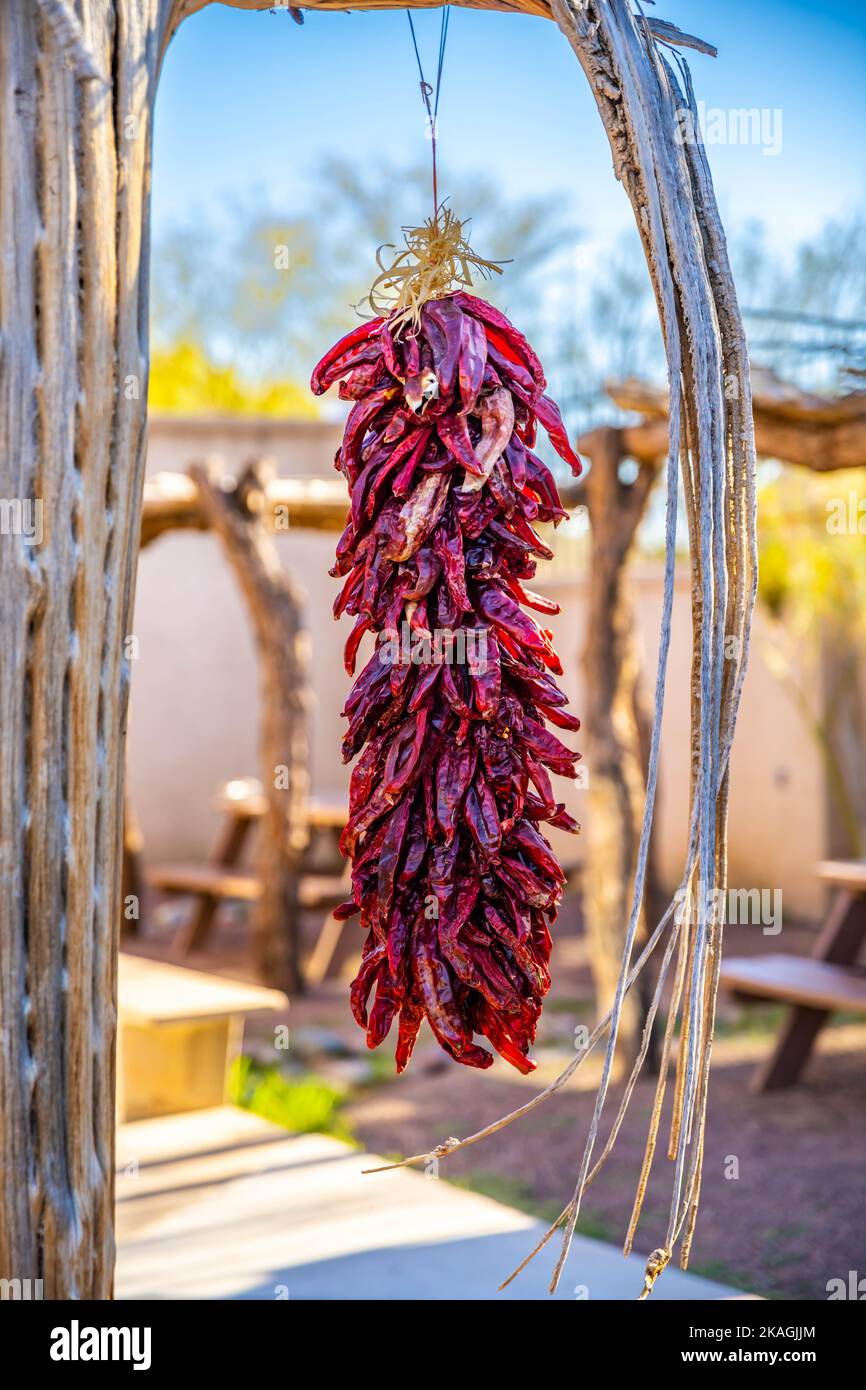 A red hot chili in Tucson, Arizona Stock Photo - Alamy