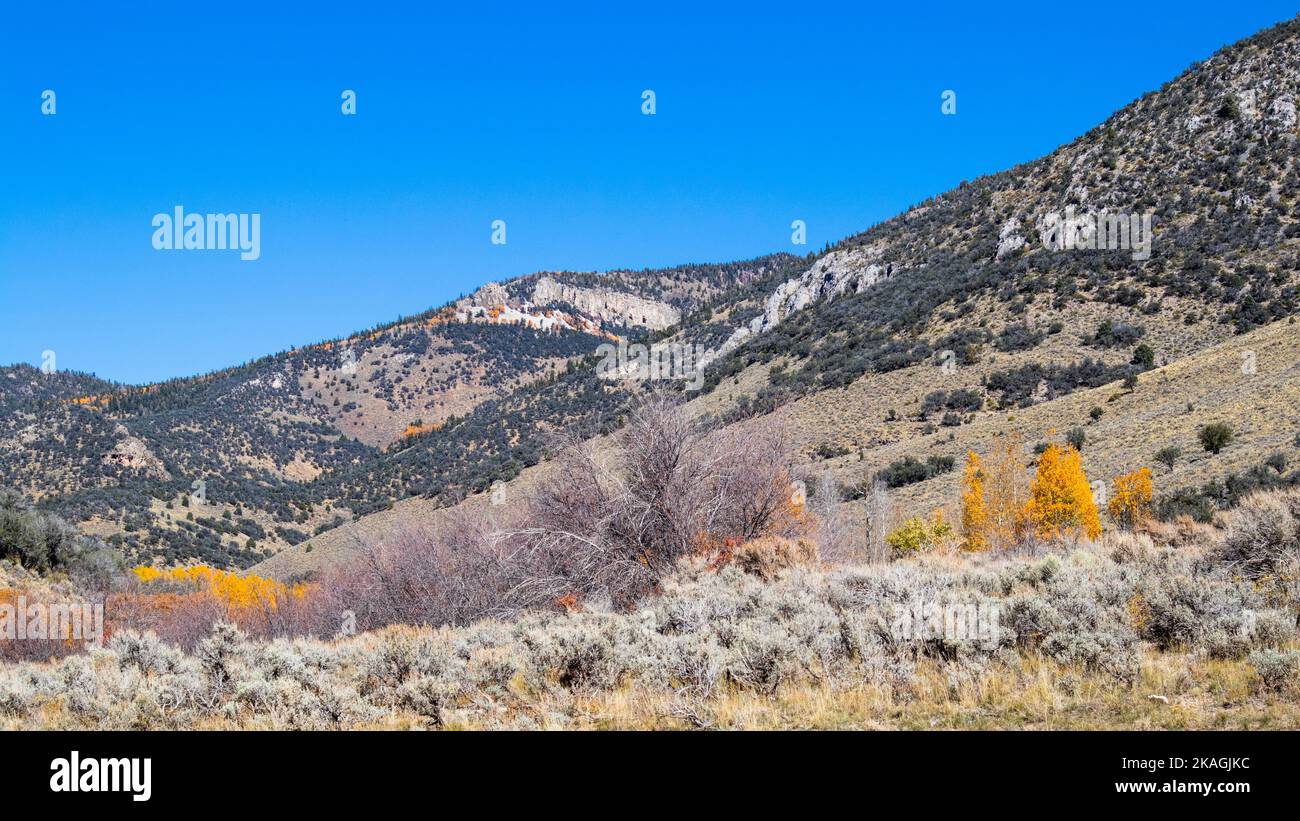 Success loop hi-res stock photography and images - Alamy