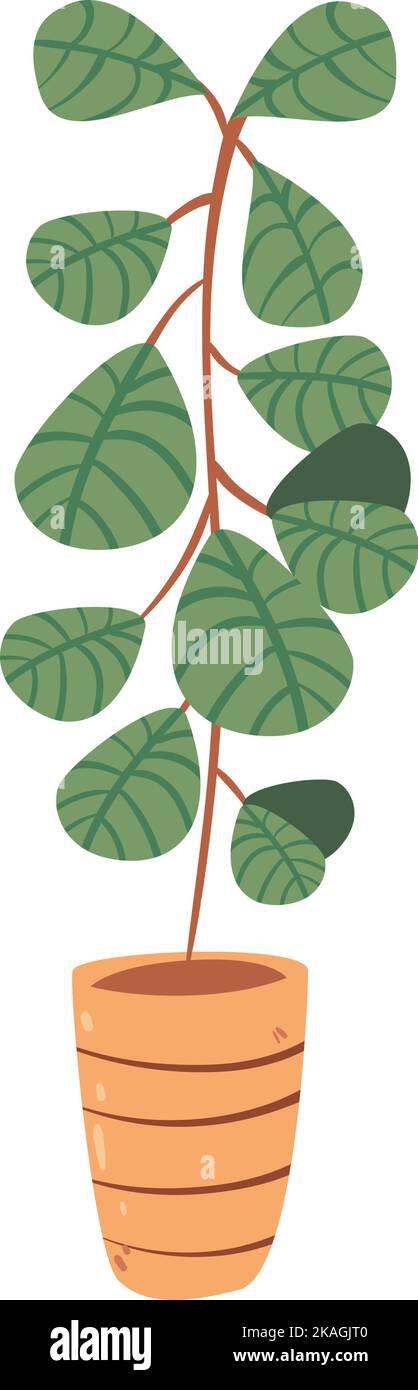 flat plant design Stock Vector Image & Art - Alamy