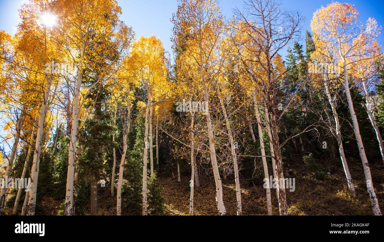 Success loop hi-res stock photography and images - Alamy