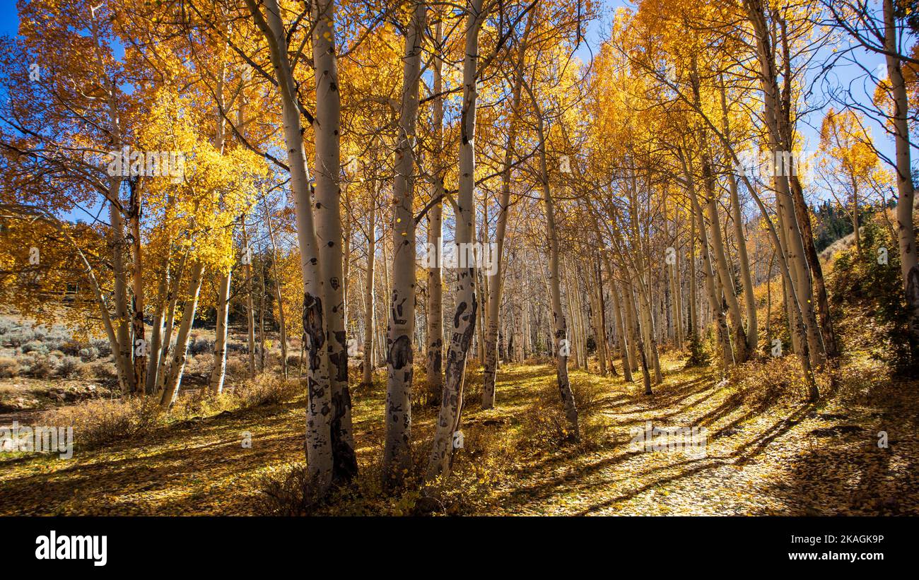 Success loop hi-res stock photography and images - Alamy