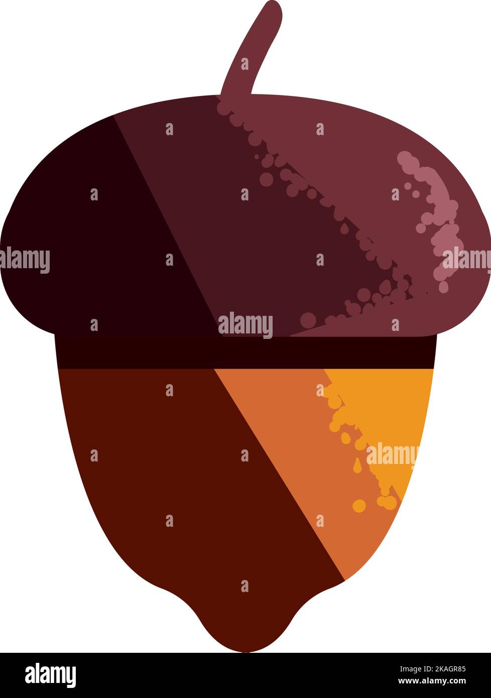 flat acorn nut Stock Vector Image & Art - Alamy