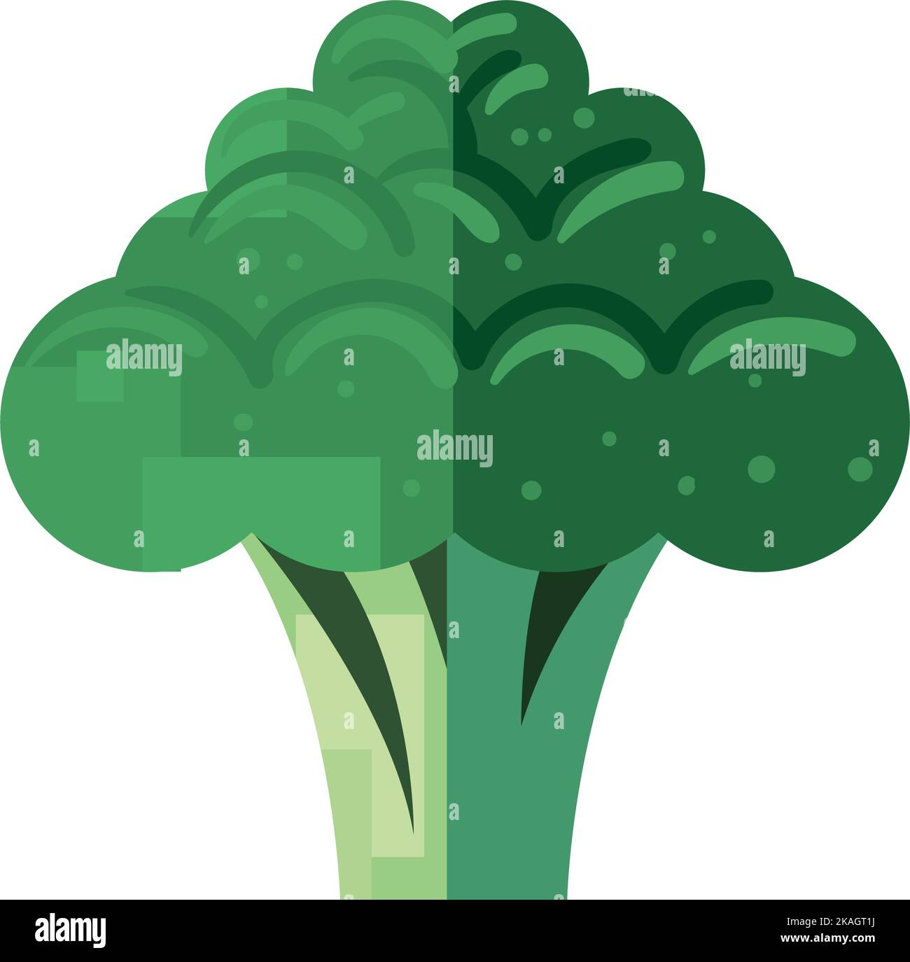flat broccoli design Stock Vector Image & Art - Alamy