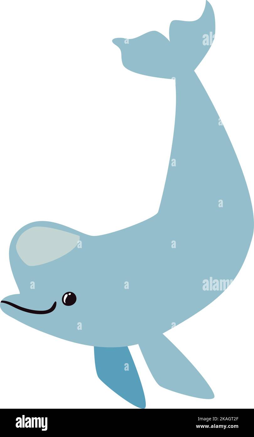 flat beautiful beluga Stock Vector Image & Art - Alamy