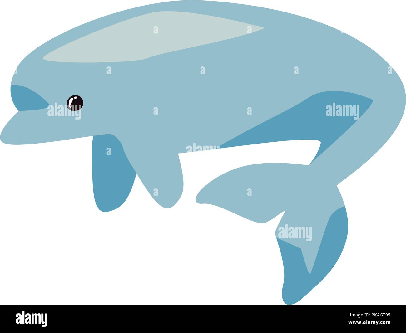 flat blue beluga design Stock Vector Image & Art - Alamy