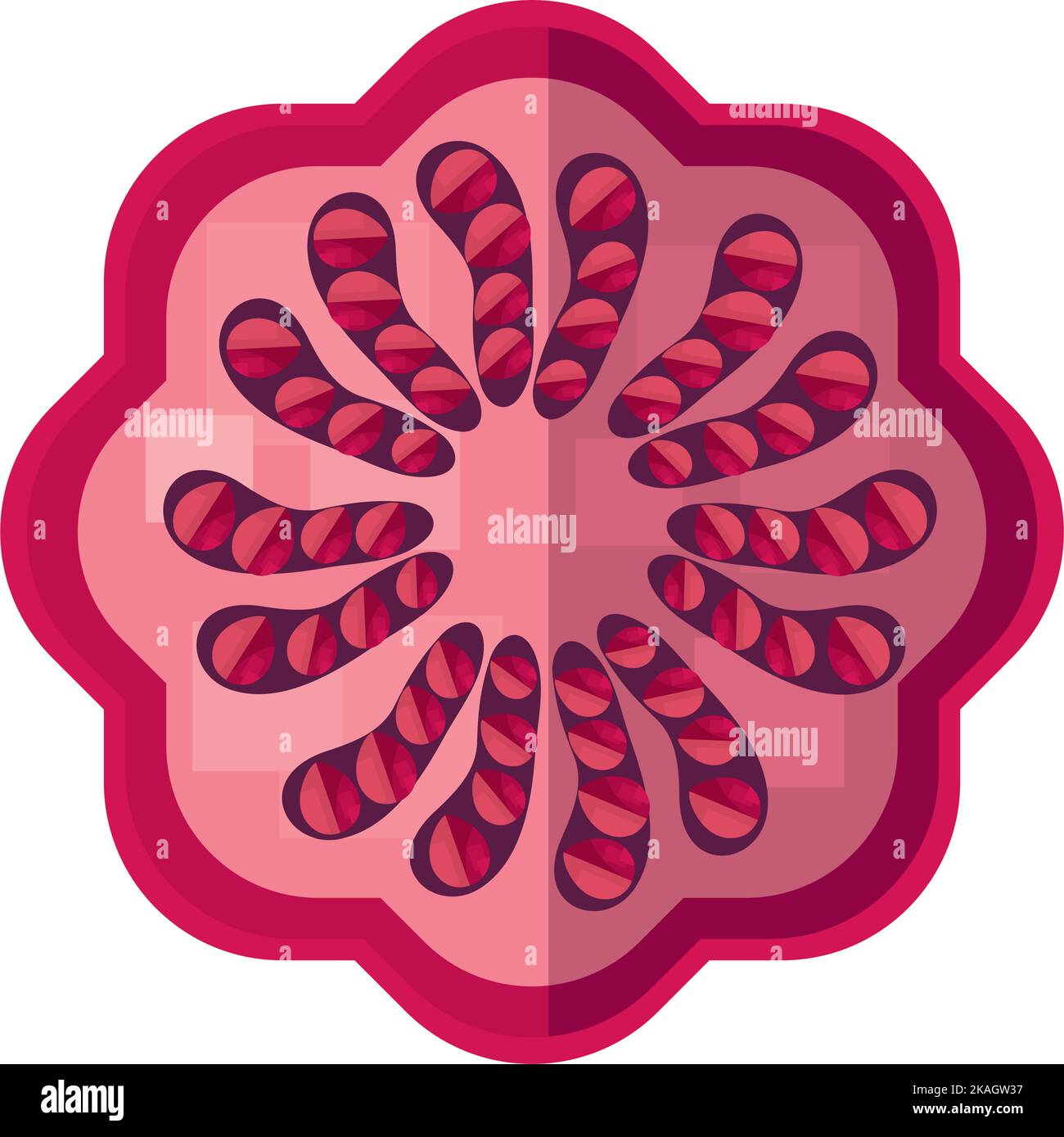 flat tomato design Stock Vector Image & Art - Alamy