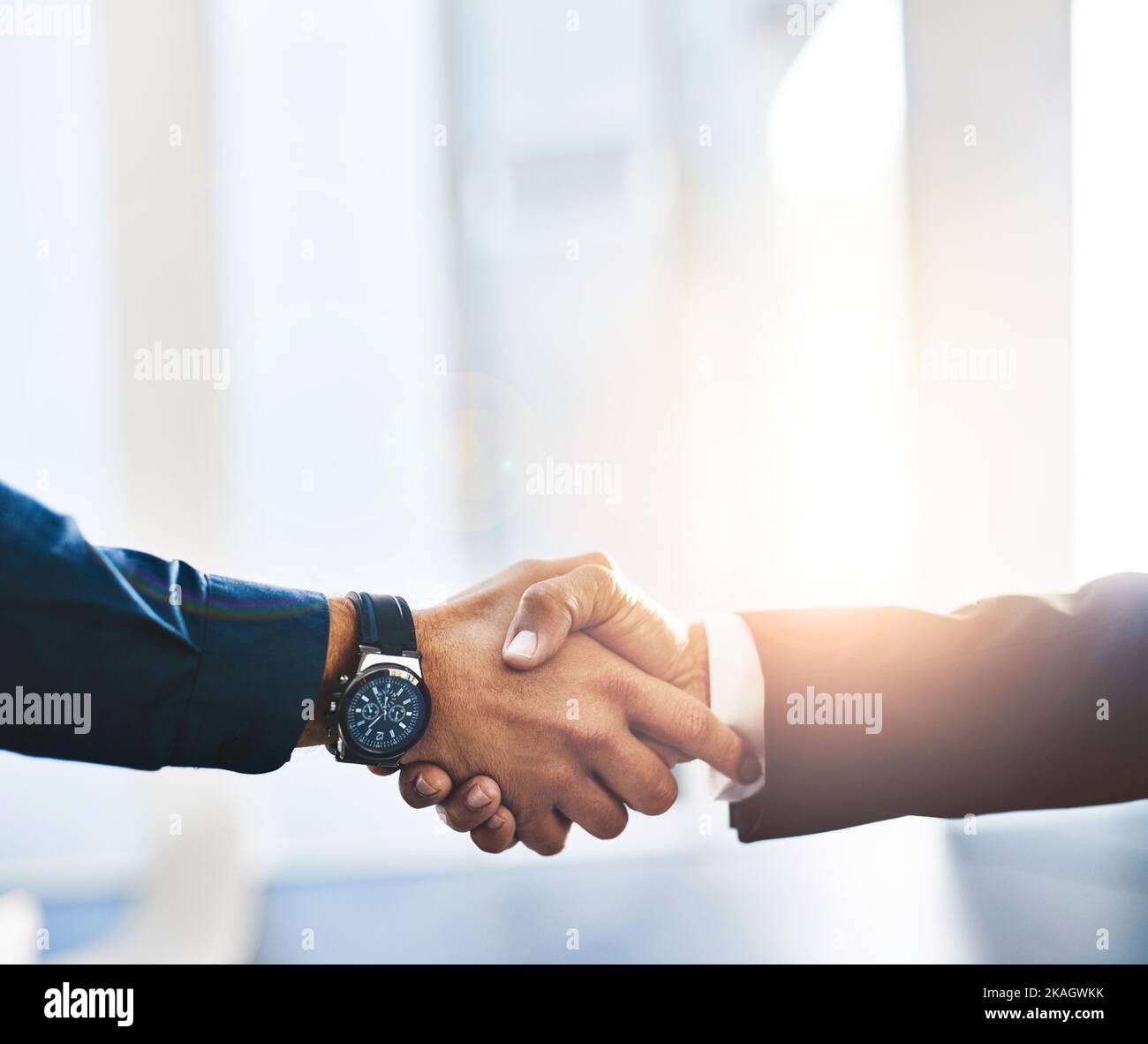 Its a solid partnership. two unrecognisable businesspeople shaking ...